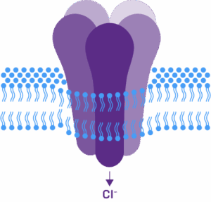 Mechanism of Action (MOA) | XCOPRI® (cenobamate tablets) CV